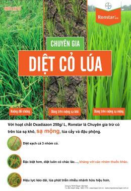 RONSTAR 25EC - Bayer CropScience Việt Nam