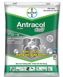 ANTRACOL 70WP - Bayer CropScience Việt Nam