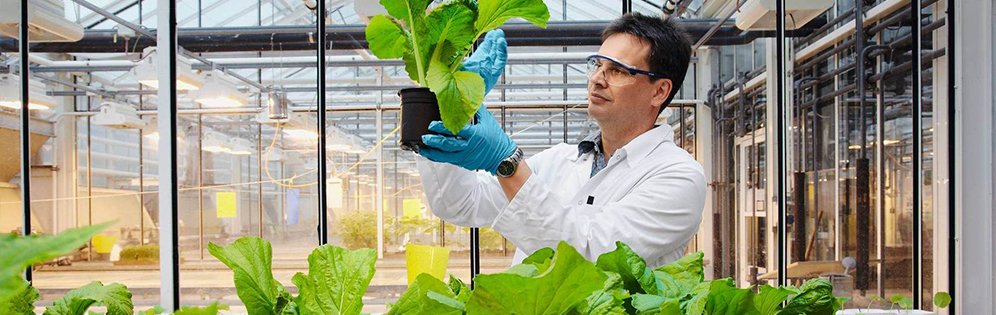 Giới Thiệu - Bayer CropScience Việt Nam