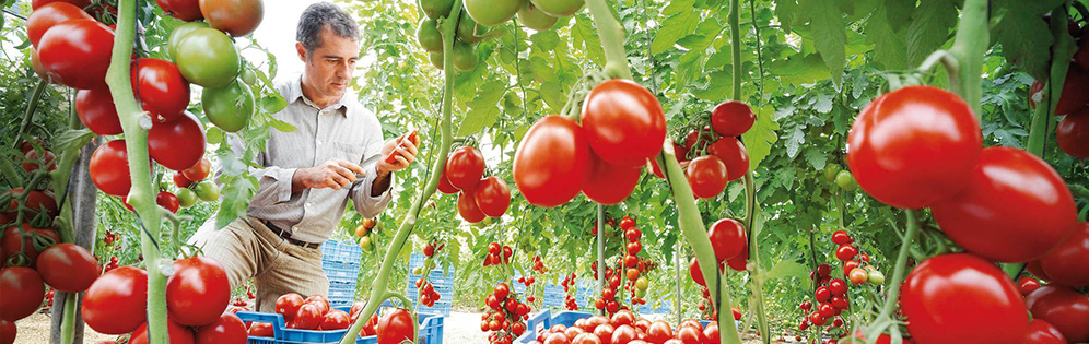 Bayer CropScience - Bayer CropScience Việt Nam