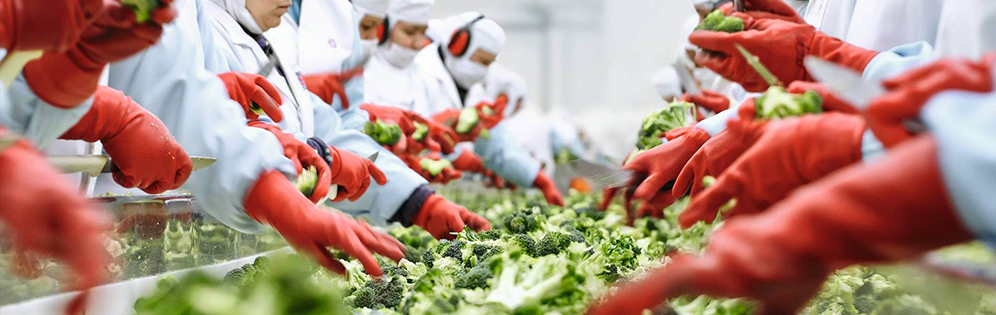 Bayer Toàn Cầu - Bayer CropScience Việt Nam