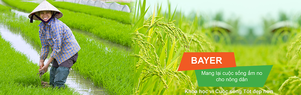 Lịch Sử Bayer Việt Nam - Bayer CropScience Việt Nam