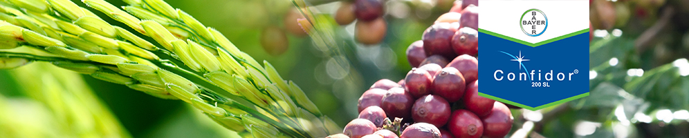 CONFIDOR 200SL - Bayer CropScience Việt Nam