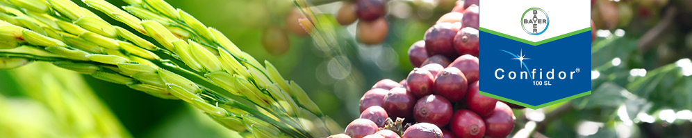 CONFIDOR 100SL - Bayer CropScience Việt Nam