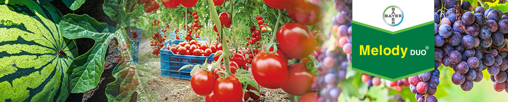 MELODY DUO 66.75WP - Bayer CropScience Việt Nam