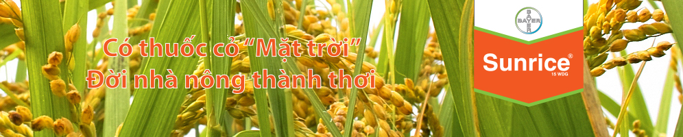 SUNRICE 15WDG - Bayer CropScience Việt Nam