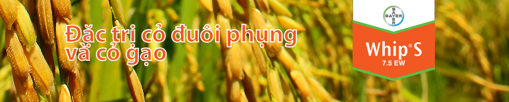 WHIP S 7.5EW - Bayer CropScience Việt Nam