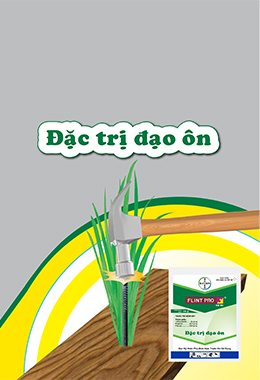 FLINTPRO 648WG - Bayer CropScience Việt Nam