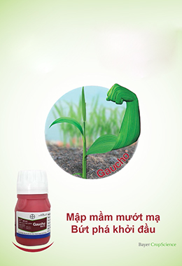 GAUCHO 600FS - Bayer CropScience Việt Nam
